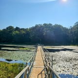 Cash Lake Loop Trail, Maryland - 1,051 Reviews, Map | AllTrails