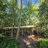 Cash Lake Loop Trail, Maryland - 1,051 Reviews, Map | AllTrails