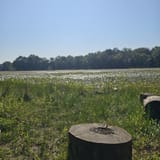 Cash Lake Loop Trail, Maryland - 1,051 Reviews, Map | AllTrails