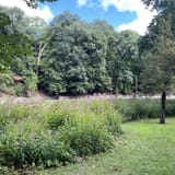 Schenley Park Panther Hollow Trail, Pennsylvania - 725 Reviews, Map ...