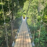 Cane Creek Falls and Suspension Bridge, Tennessee - 563 Reviews, Map ...