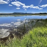 Riddle Lake Trail, Montana - 145 Reviews, Map | AllTrails