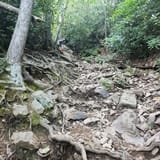 Compression Falls Trail, North Carolina - 384 Reviews, Map | AllTrails