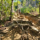 Compression Falls Trail, North Carolina - 384 Reviews, Map | AllTrails