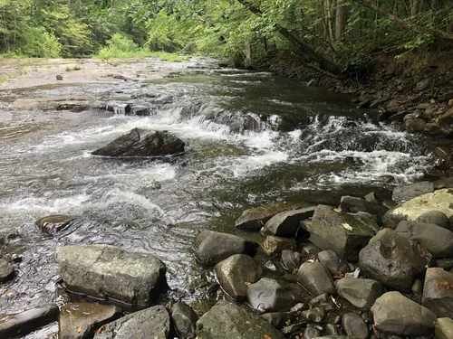 Best Hikes and Trails in George V Vanderbilt Town Park | AllTrails
