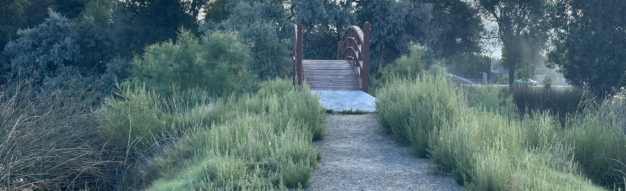 Becker Ponds Loop, Oregon - 10 Reviews, Map | AllTrails