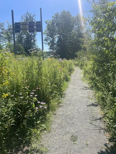 Best Hikes and Trails in Distant Hill Nature Trail | AllTrails