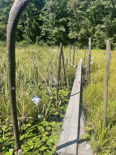Best Hikes and Trails in Distant Hill Nature Trail | AllTrails