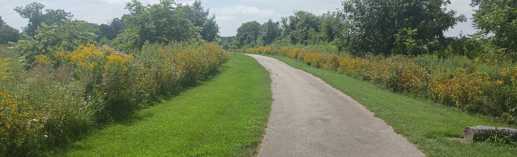 Prairie Oaks Forest Preserve Loop, Illinois - 57 Reviews, Map | AllTrails