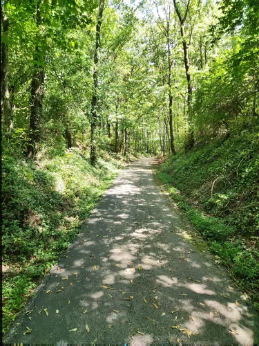 Best Hikes and Trails in Riney B Park | AllTrails