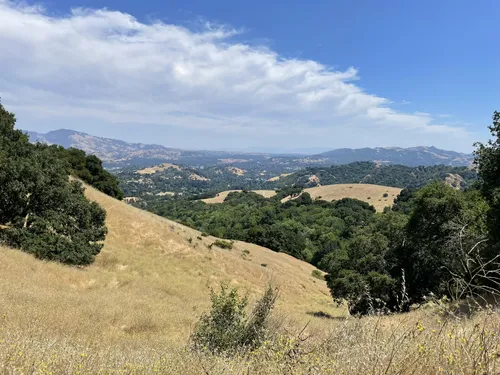 Best Hard Trails in Briones Regional Park | AllTrails