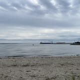 Quonset Point Bike Path, Rhode Island - 295 Reviews, Map | AllTrails