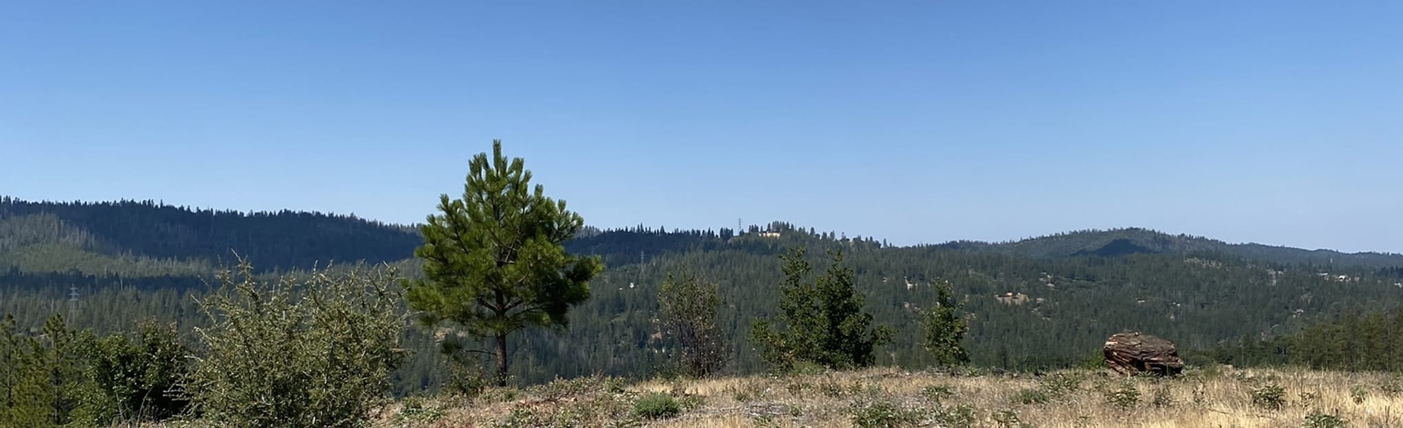 Long Gulch Ridge Loop, California - 194 Reviews, Map | AllTrails