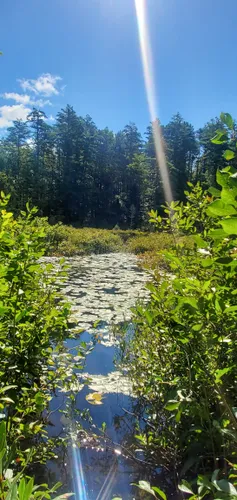 Best Hikes and Trails in Greenfield State Park | AllTrails