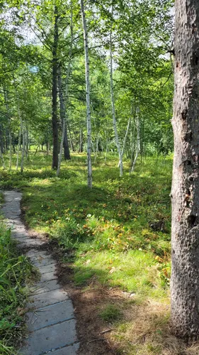 Best Hikes and Trails in Theodore Wirth Park | AllTrails