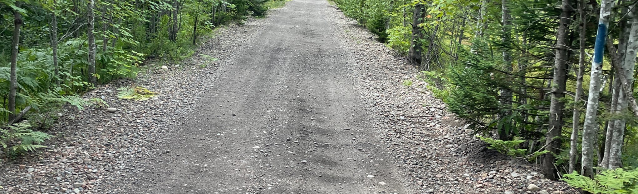 Salisbury to Hillsborough Trail: 4 Reviews, Map - New Brunswick, Canada ...