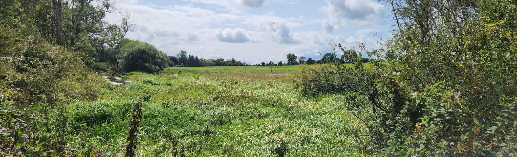 Portlick Millenium Forest and Castle CIrcular: 82 Reviews, Map - County ...