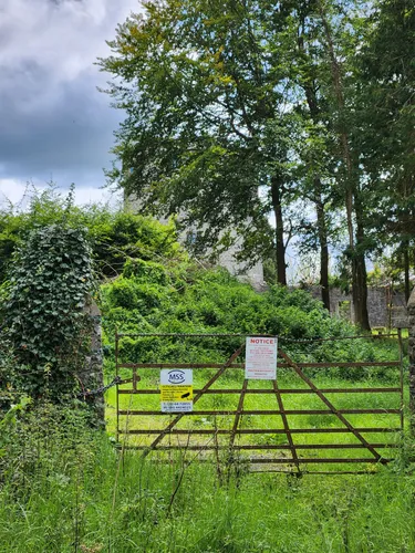 2023 Best Bird Watching Trails in Portlick Millennium Forest | AllTrails