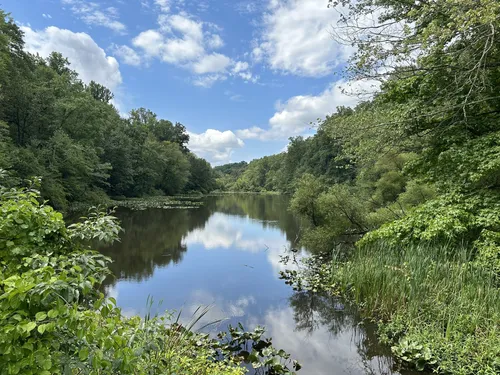 10 Best Hikes and Trails in Watchung Reservation | AllTrails