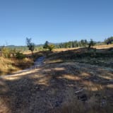 Mima Mounds Trail, Washington - 419 Reviews, Map | AllTrails