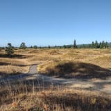 Mima Mounds Trail, Washington - 432 Reviews, Map | AllTrails