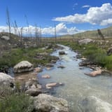 Colorado River and River Run Trail, Colorado - 500 Reviews, Map | AllTrails