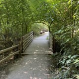 Tryon Creek Triple Bridge Loop, Oregon - 1,373 Reviews, Map | AllTrails