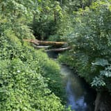 Tryon Creek Triple Bridge Loop, Oregon - 1,373 Reviews, Map | AllTrails