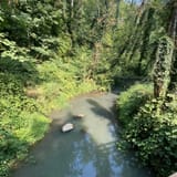 Tryon Creek Triple Bridge Loop, Oregon - 1,373 Reviews, Map | AllTrails