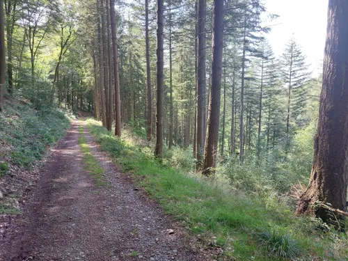 De 10 beste wandelroutes om te wandelen in Jalhay | AllTrails