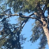 Lunch Falls Trail, Alaska - 67 Reviews, Map | AllTrails