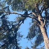 Lunch Falls Trail, Alaska - 67 Reviews, Map | AllTrails