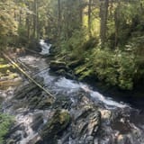 Lunch Falls Trail, Alaska - 67 Reviews, Map | AllTrails