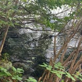Chamberlain-Reynolds Memorial Forest Loop, New Hampshire - 857 Reviews ...