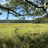 Spirit Pond Preserve, Maine - 130 Reviews, Map | AllTrails