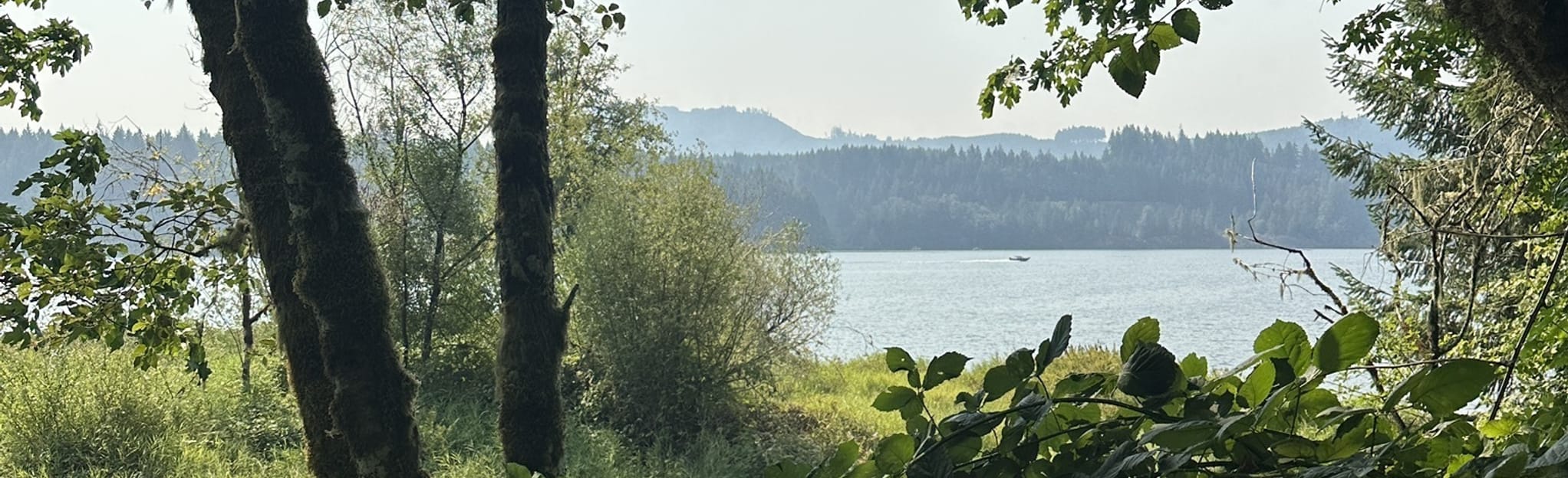 North Foster Lake Trail, Oregon - 38 Reviews, Map | AllTrails