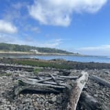 Timber Point, Maine - 397 Reviews, Map | AllTrails