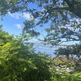 Timber Point, Maine - 397 Reviews, Map | AllTrails