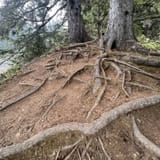 Secret Beach Trail, Oregon - 1,126 Reviews, Map | AllTrails