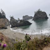 Secret Beach Trail, Oregon - 1,126 Reviews, Map | AllTrails