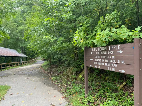 2023 Best Forest Trails in Stearns | AllTrails