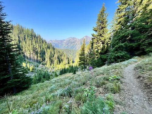 10 Best Trails and Hikes in Sequim | AllTrails