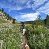 Tony Grove Nature Trail, Utah - 253 Reviews, Map | AllTrails