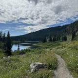 Tony Grove Nature Trail, Utah - 253 Reviews, Map | AllTrails