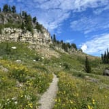 Tony Grove Nature Trail, Utah - 253 Reviews, Map | AllTrails