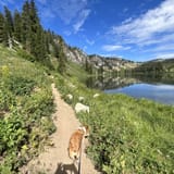 Tony Grove Nature Trail, Utah - 253 Reviews, Map | AllTrails
