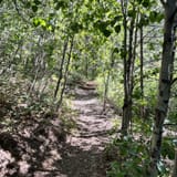 Sagehen Creek Loop, California - 852 Reviews, Map | AllTrails