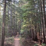 Mount Sawyer via Tonga Ridge Trail, Washington - 355 Reviews, Map ...