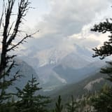 Silver Forest Trail, Washington - 472 Reviews, Map | AllTrails