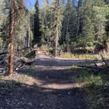 Wind Ridge Trail, Alberta, Canada - 1,138 Reviews, Map | AllTrails